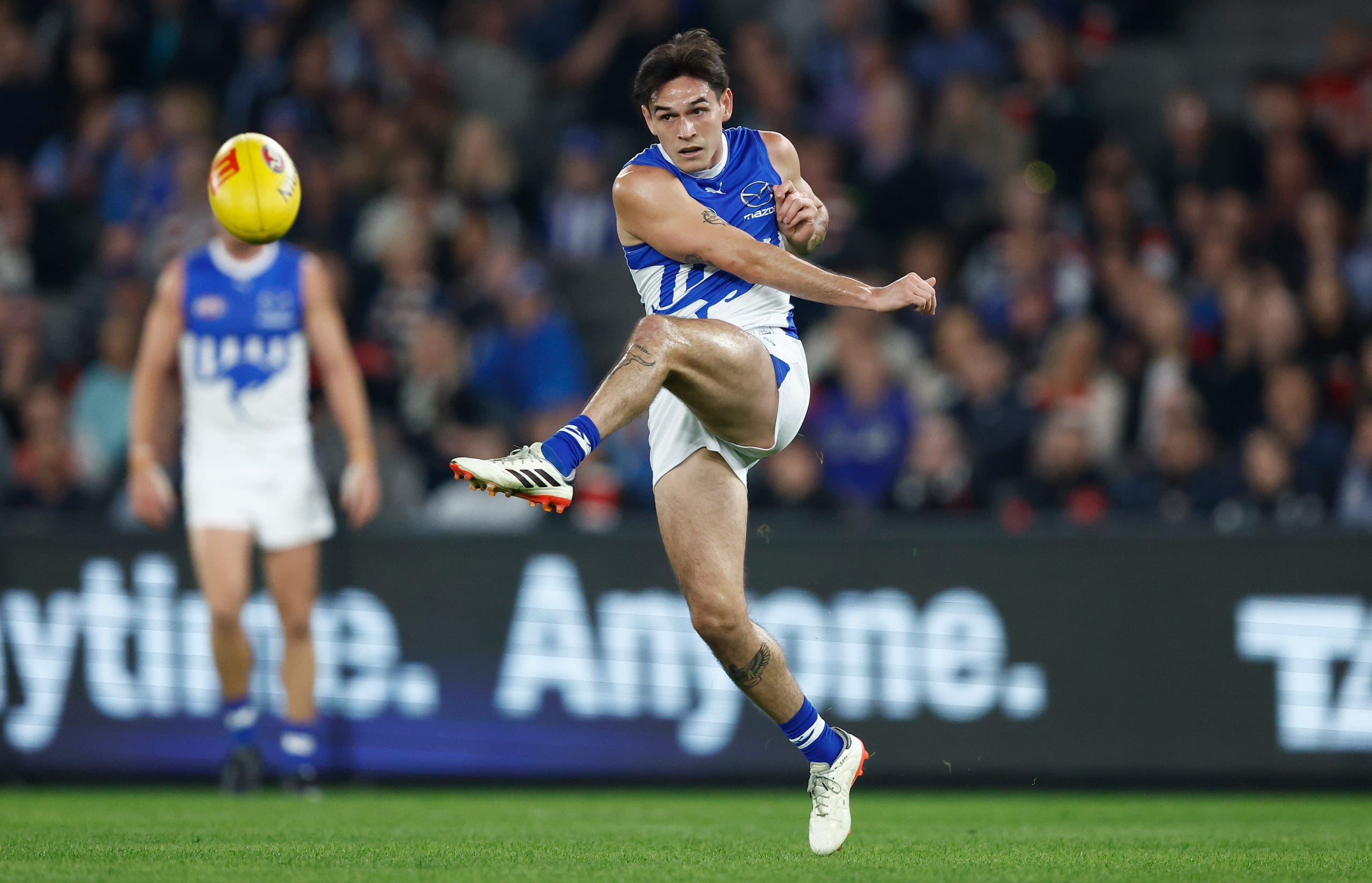 North Melbourne utility Zac Fisher injured against Blues - AFL News ...